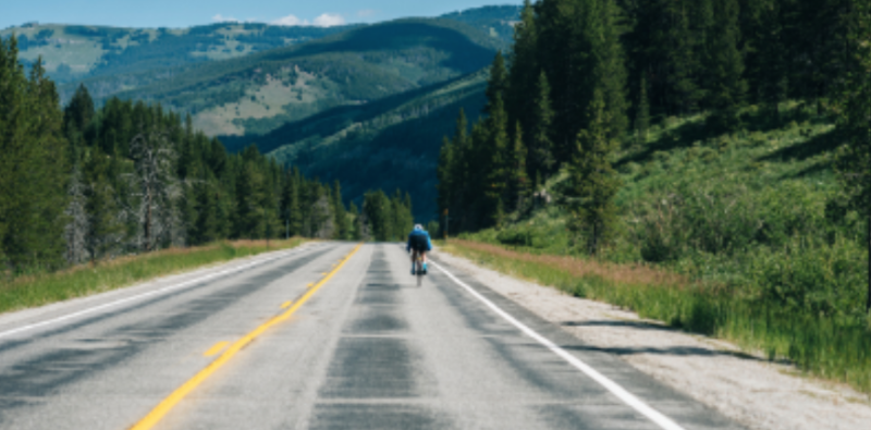 Copper Triangle 2026 - Rated - Strambecco